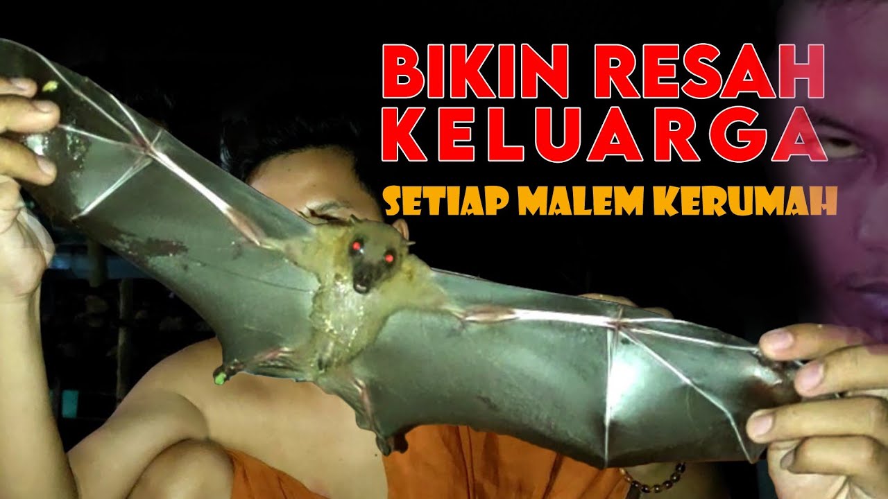 TERNYATA INI PELAKUNYA - YouTube