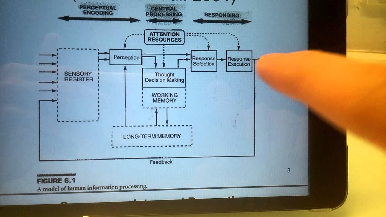 IMSE 3128 Wickens information processing model - YouTube