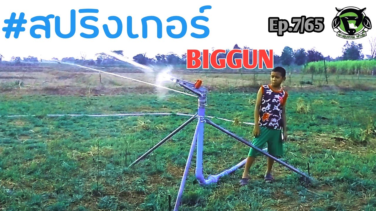 Ep.7/65 #สปริงเกอร์Biggun 2 นิ้ว ปั้ม 7 แรง แรงแค่ไหน ไปดูกัน | เนื้อหาที่เกี่ยวข้องแรงสปริงที่ ...