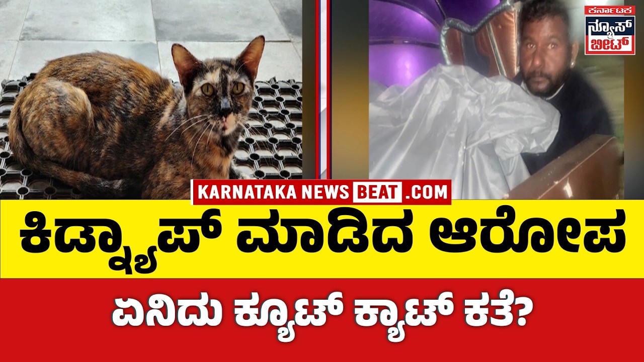 Animal lover alleges cat kidnapping!? | ‘ಬೆಕ್ಕು ಕಿಡ್ನಾಪ್’ ಅಂತಾ ...