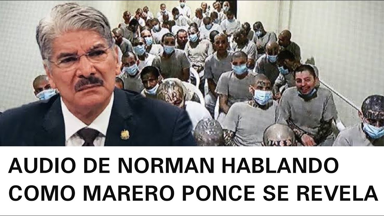 AUDIO DE NORMAN HABLANDO COMO PANDILLERO ,MARIO POCE DESCONTARA A ...