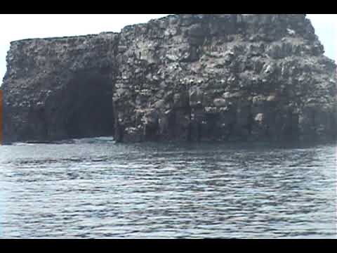 Roca Redonda, Galapagos Islands - YouTube