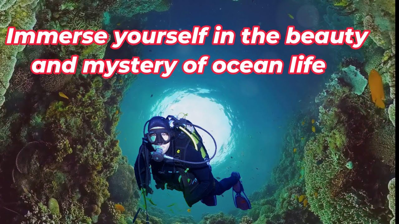 ocean life documentary :Unveiling the Mysteries Beneath the Waves ...