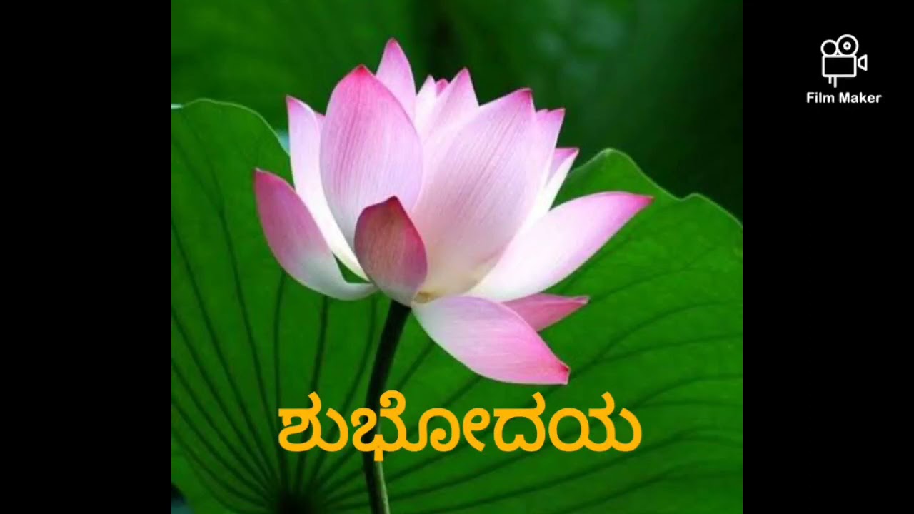 Masala Dose poem ( ಮಸಾಲೆ ದೋಸೆ -ಪದ್ಯ ) IIIrd standard Kannada - YouTube