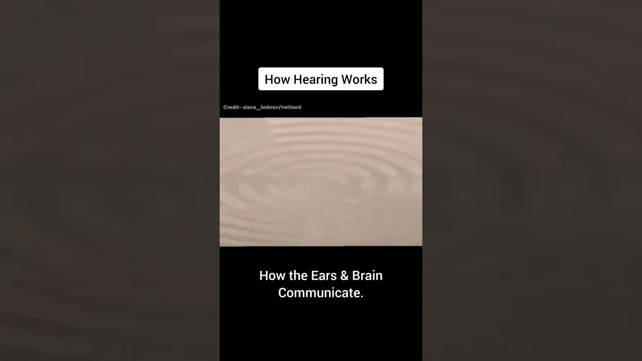 How Hearing Works - YouTube