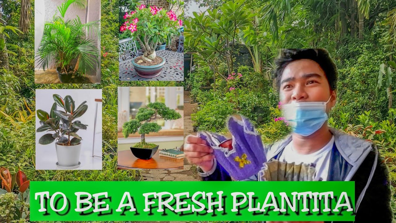 HOW TO BE A FRESH PLANTITO & PLANTITA BY FRESHIDENT - YouTube