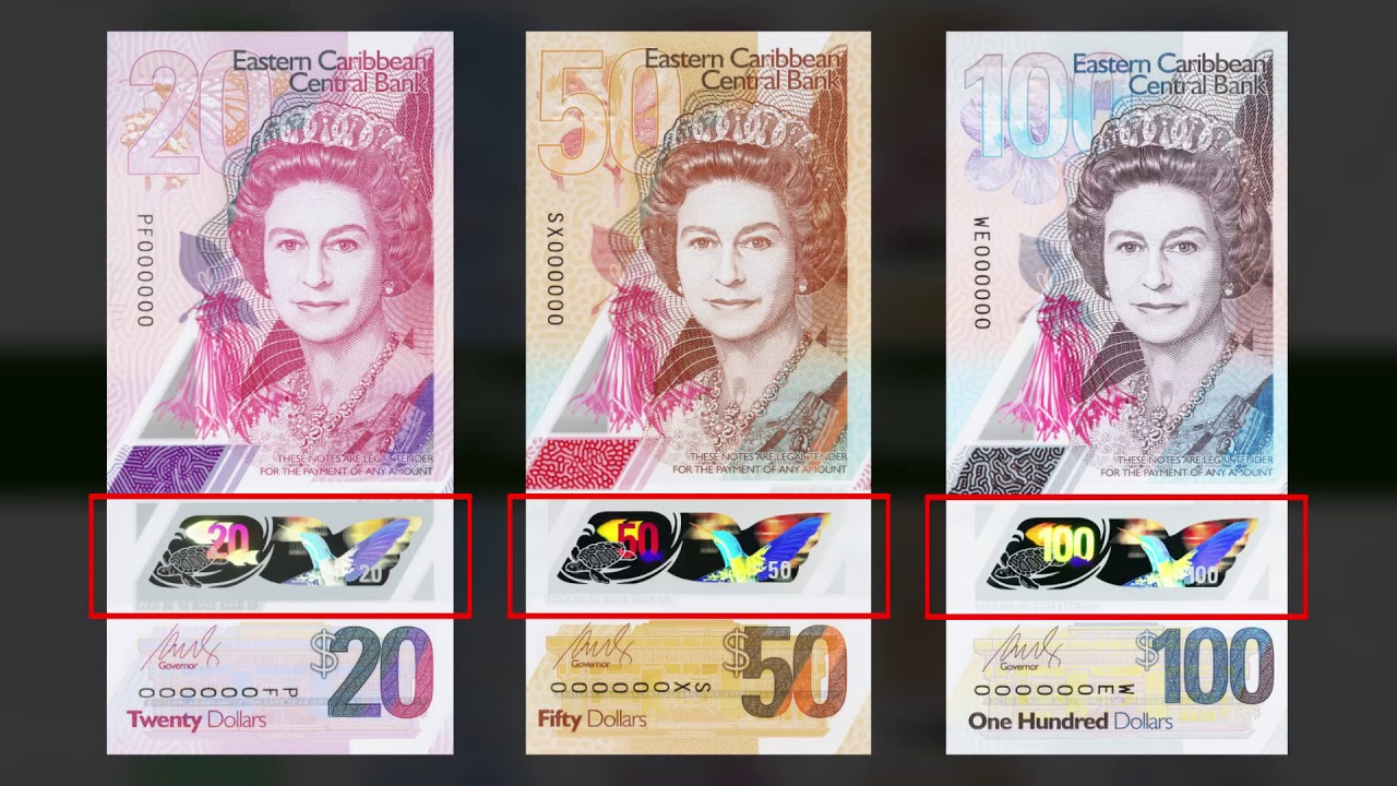 EC Polymer Notes: Design and Features - YouTube