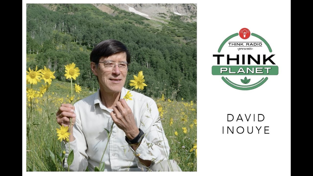 David Inouye — A passion for pollinators - YouTube