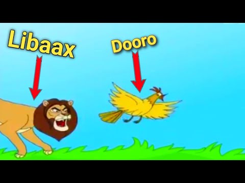 sheeko caruureed cusub libaax iyo bakeyle, libaaxi dumiga badnaa ...