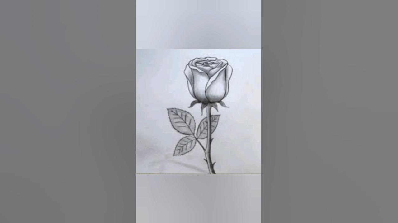 How To Print Flower In C Programming Language 🌹🌹🌹🌹coding Codingmaker