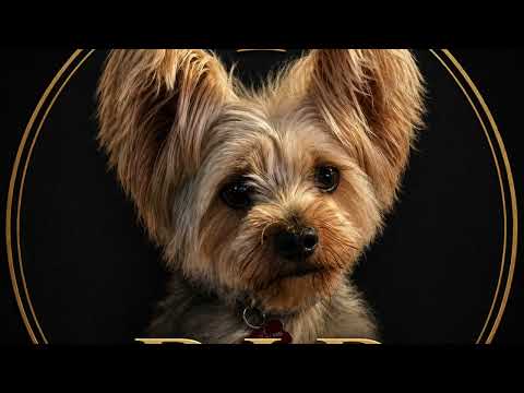 Welcome To California - Dance Mix