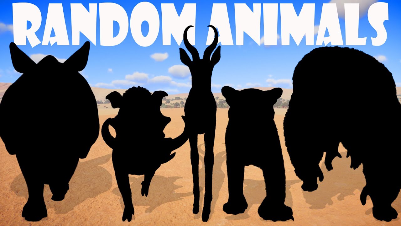 Random Animals Speed Races in Planet Zoo included Rhinoceros, Warthog ...