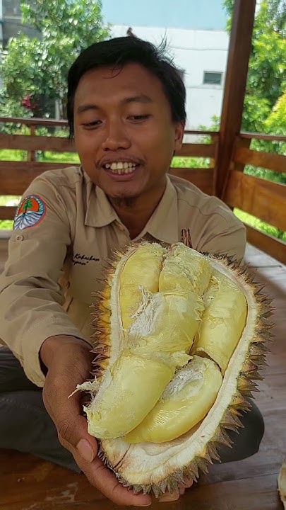 Review durian lokal Wanadadi Banjarnegara part 3 #tanyategar #durian #banjarnegara - YouTube