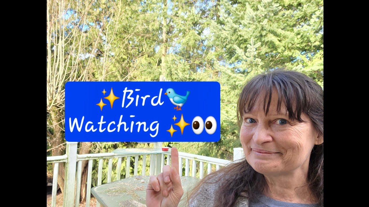 Beautiful day for Bird Watching 🐦 👀 ️ - YouTube