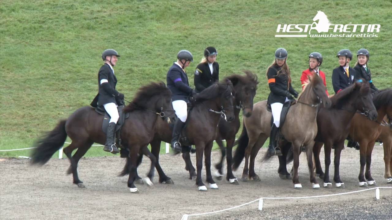 Hross í oss 2 - YouTube