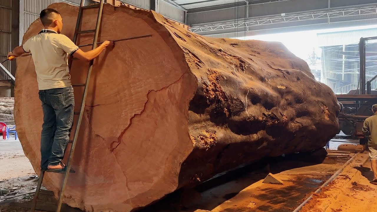 Worker Operating Giant Wood Sawing Machine // 3000 Year Old Wood - YouTube
