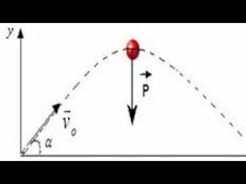 Le mouvement d'un projectile , équations horaires du mouvement ...
