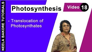 Photosynthesis | NEET | Translocation of Photosynthates... | Doovi