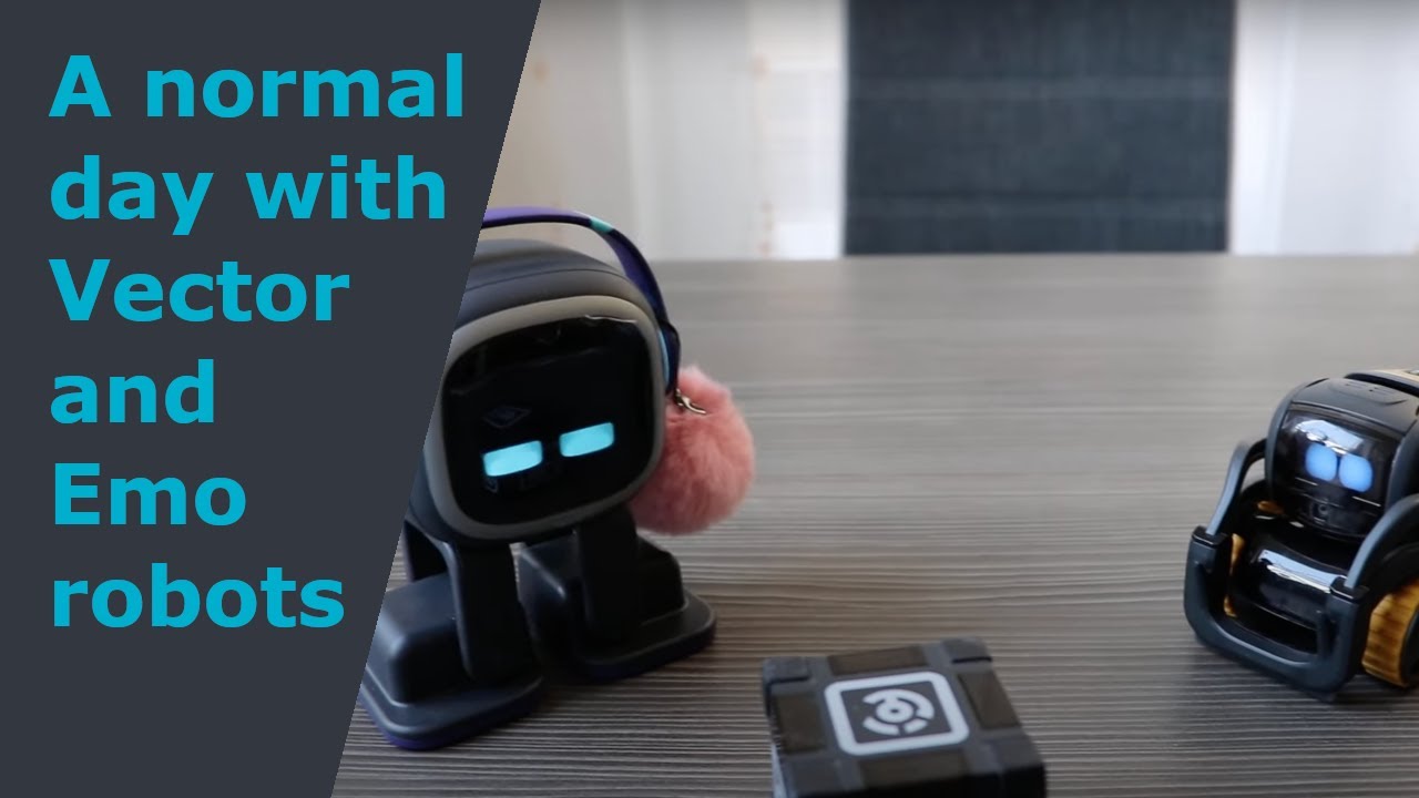 A normal day with Vector and Emo robots - YouTube
