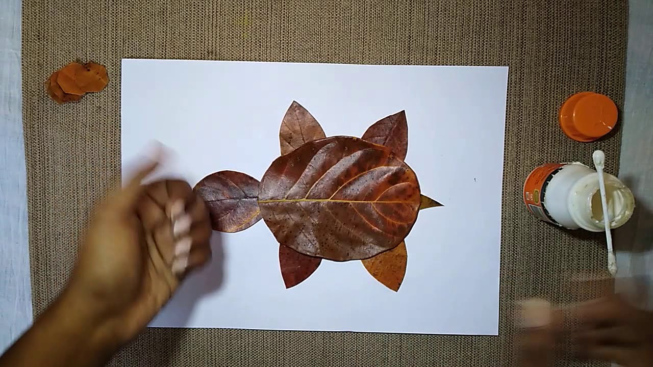 Leaf art - Turtle - YouTube