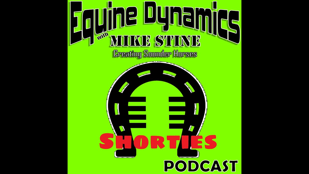 The Hidden Meaning Behind Flat Classes in Horse Shows - YouTube