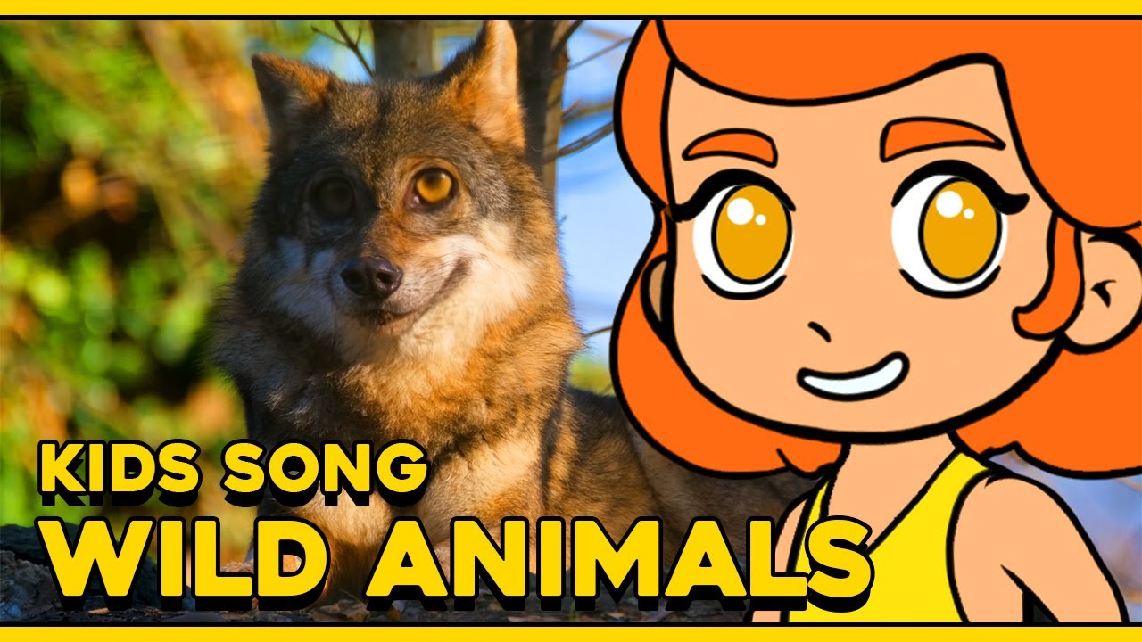 Educational Kids Song | Amy - Wild Animals | Mimi Song - YouTube