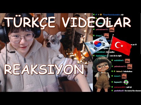 TÜRKÇE VİDEOLAR REAKSIYON | Turkish Memes Reaction | The JoJo Baggins