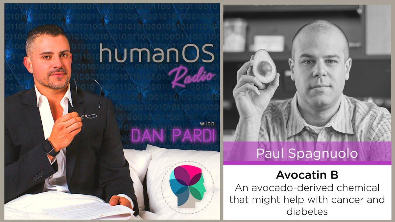 088. Avocatin B from Avocados Fights Obesity and Diabetes. Podcast with ...
