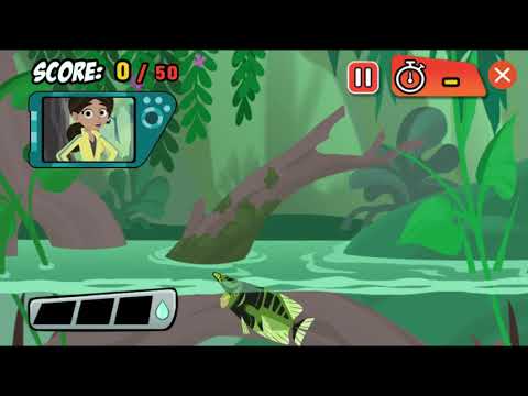 Archerfish bug rush! - YouTube