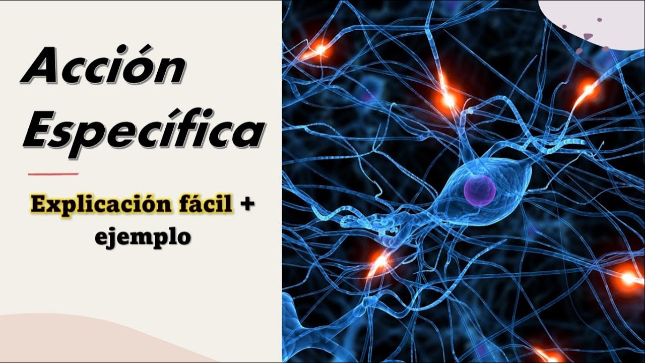 Acción específica (Psicoanálisis) | Explicación fácil y con ejempo ...