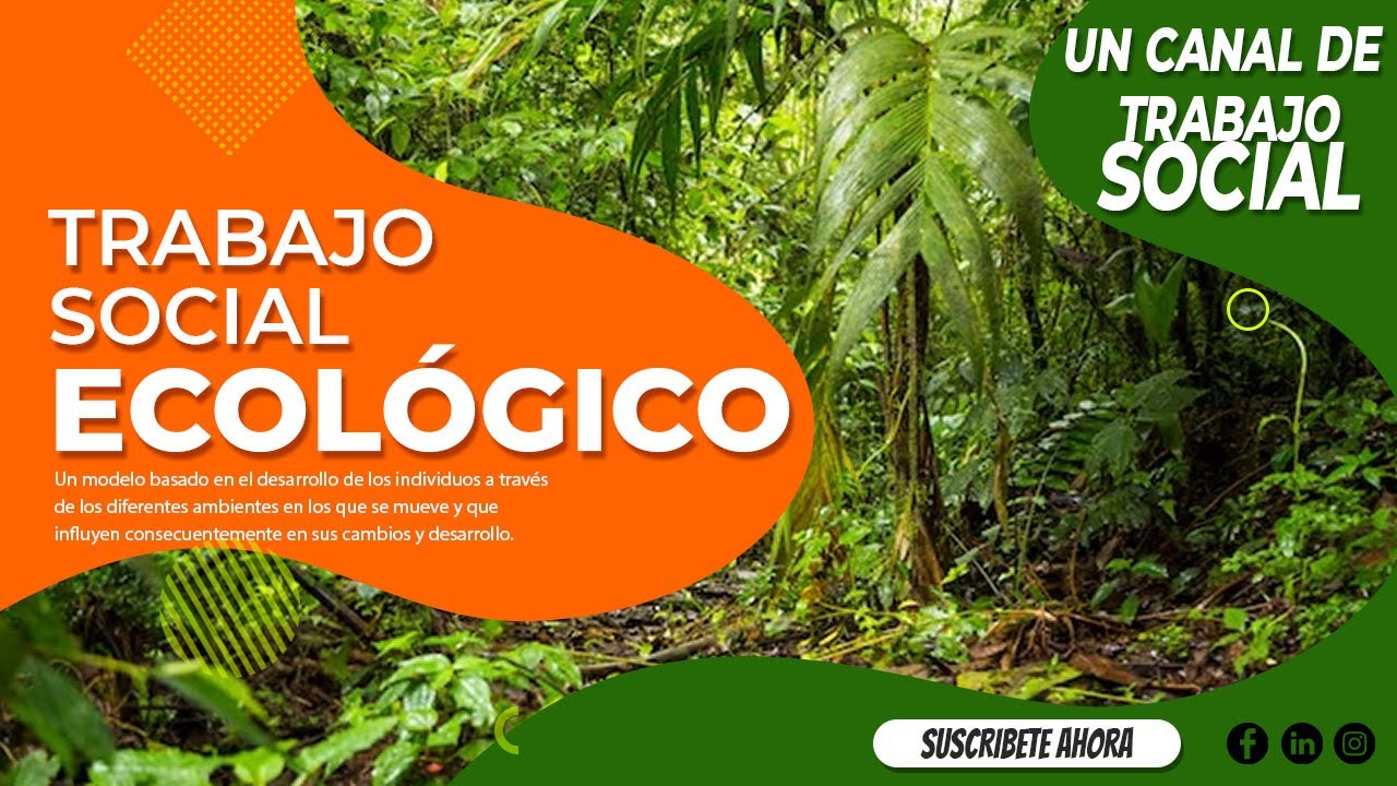 Modelo ecológico en trabajo social: Promoviendo la justicia social y ...