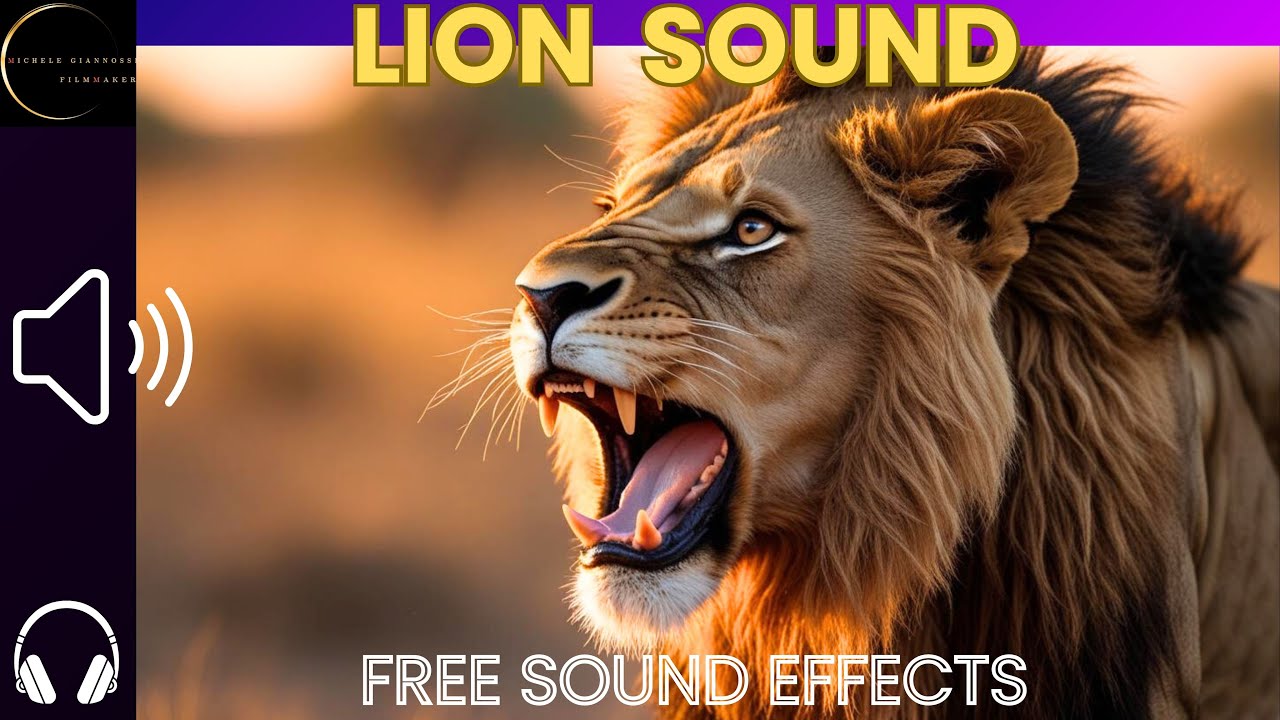 LION SOUND EFFECT - #freesoundeffects #lion #lionsound #effettisonori # ...