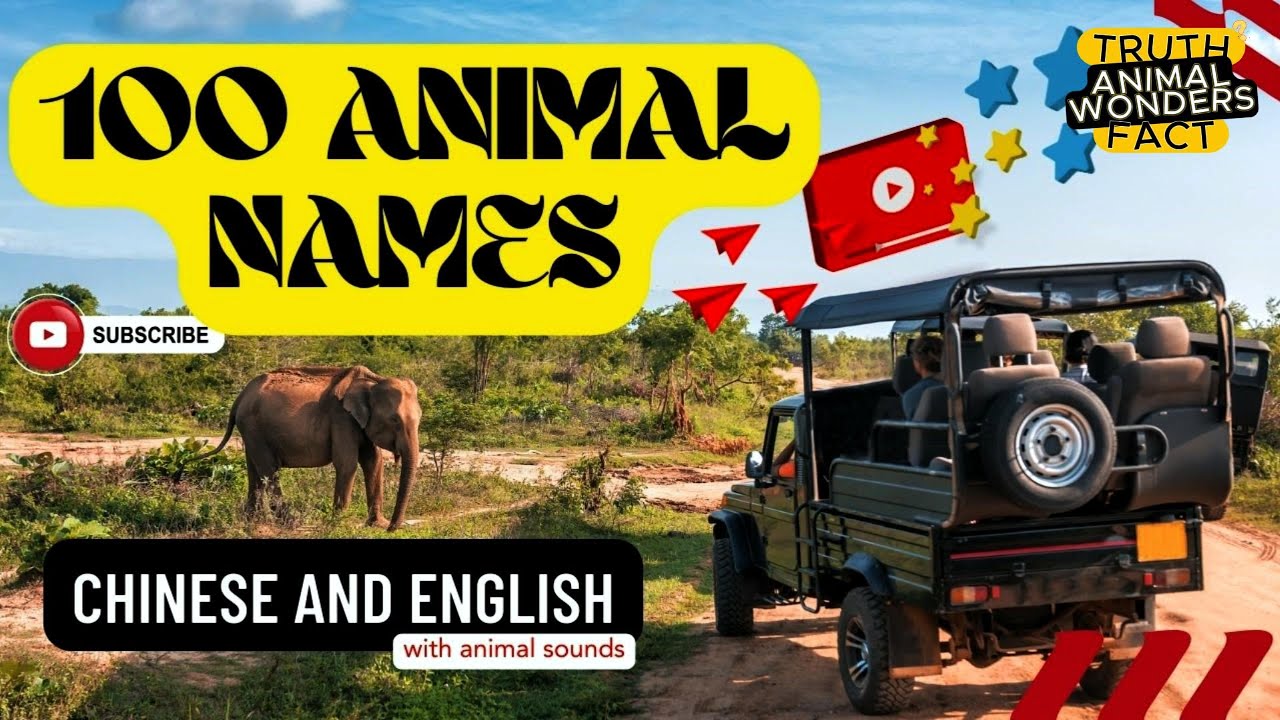 100 animal names Chinese English with animal sounds #animalwonders ...
