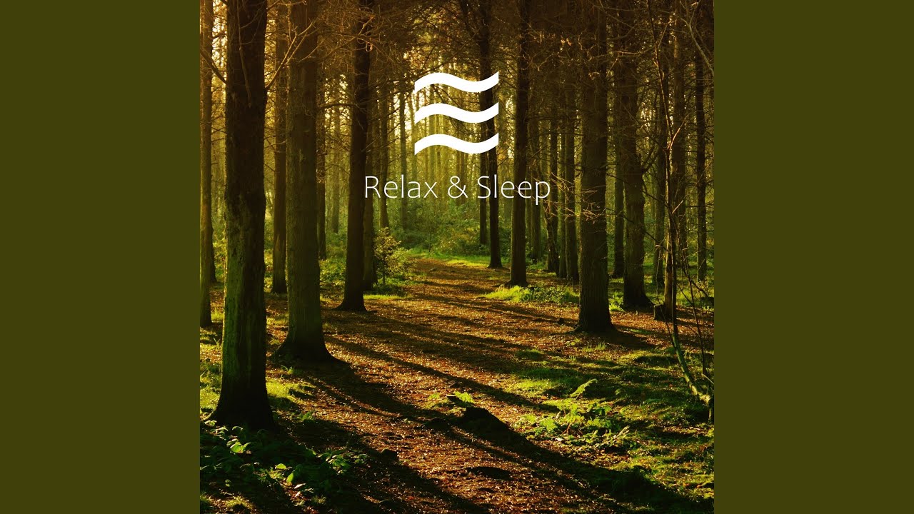 Restful Calm Noise Sound - YouTube