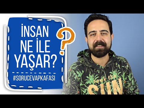 İNSAN NE İLE YAŞAR? (Psk. Gökhan Çınar'la #sorucevapkafası)