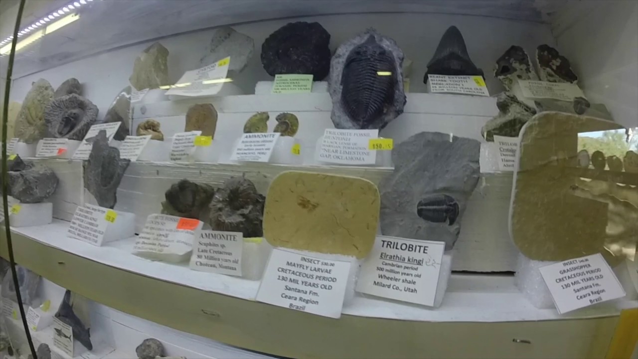 Tucson Mineral and Gem World - YouTube