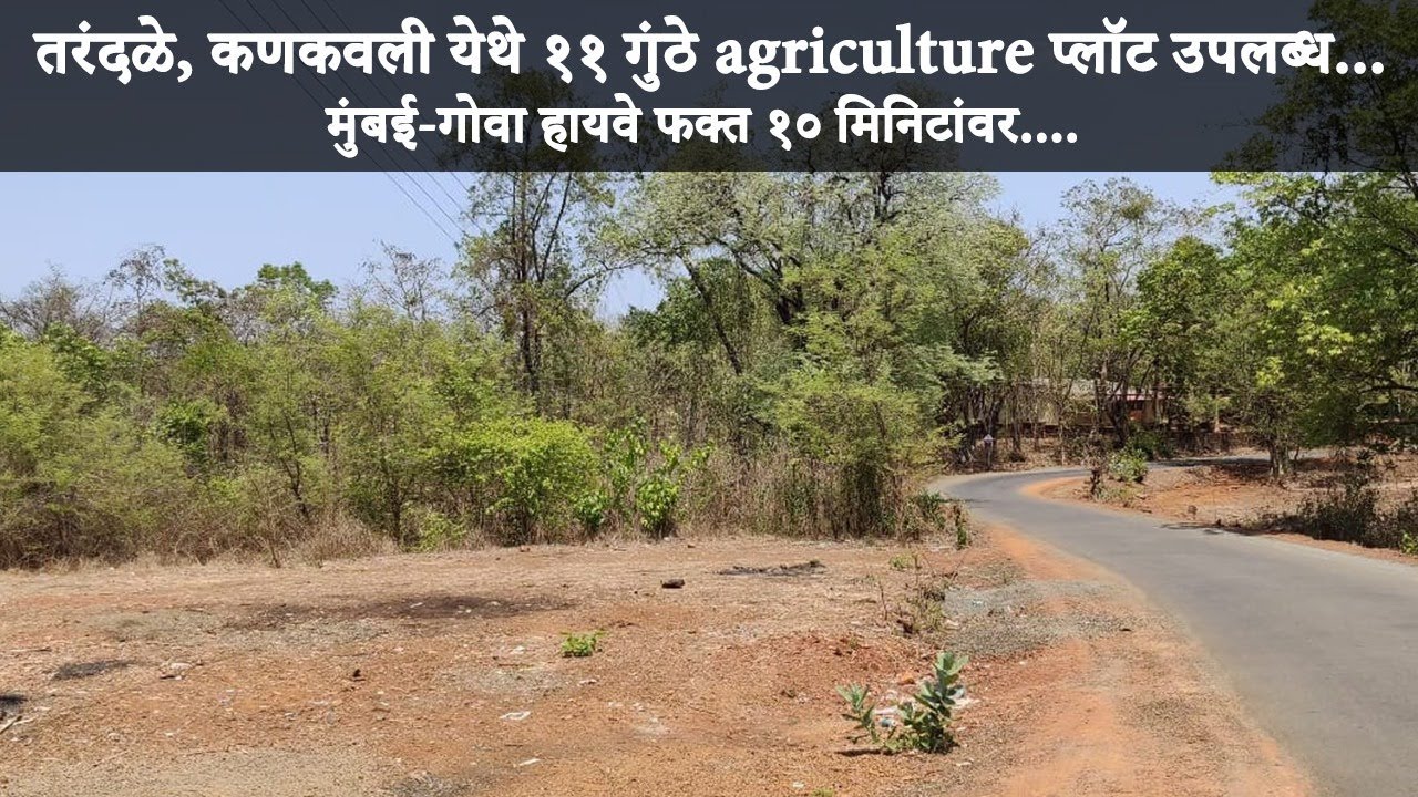 Tarandale, Kankavli 11 Gunthe Agriculture Plot available... # ...