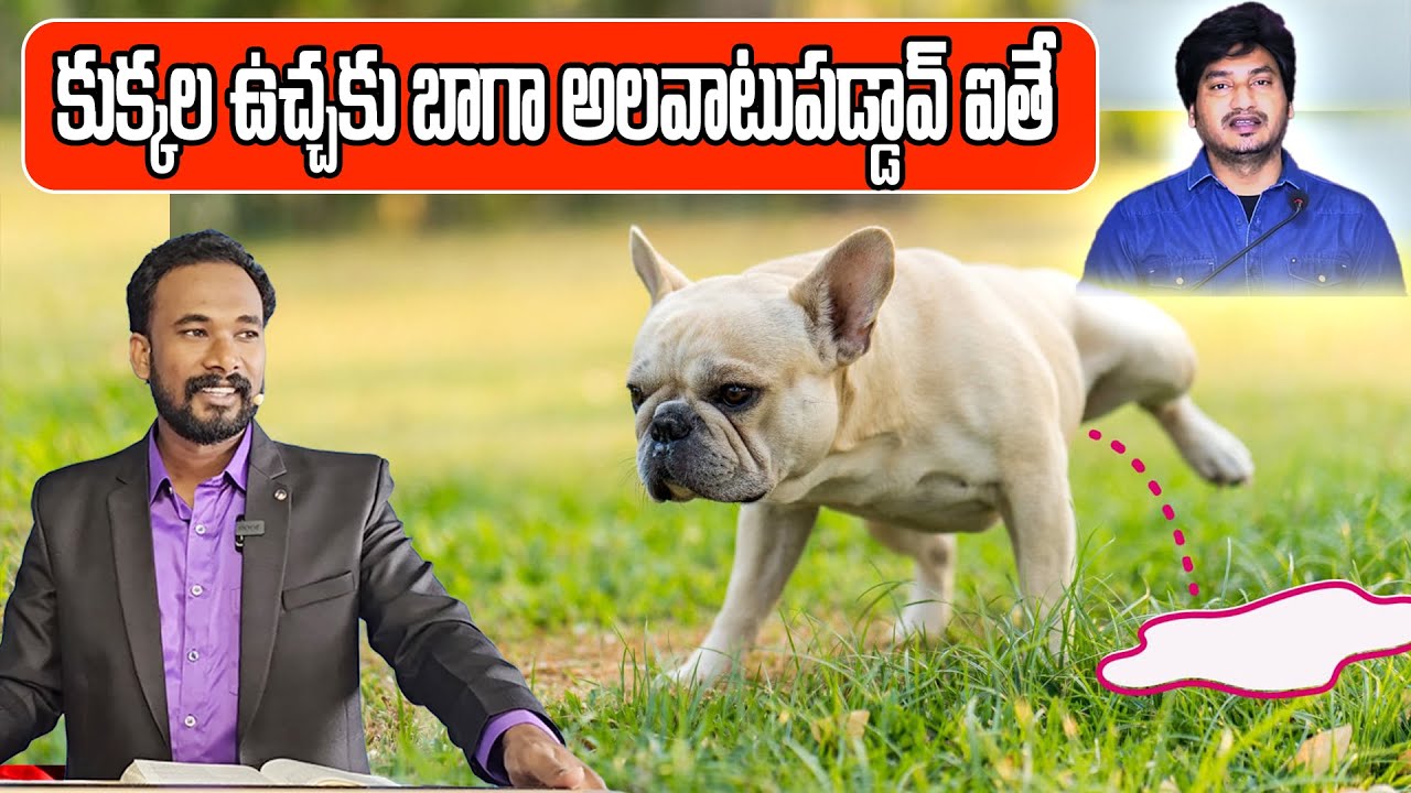 కుక్కల ఉచ్చకు బాగా అలవాటుపడ్డావ్ ఐతే!🤭🤭|| Pastor JOHN PAUL # ...