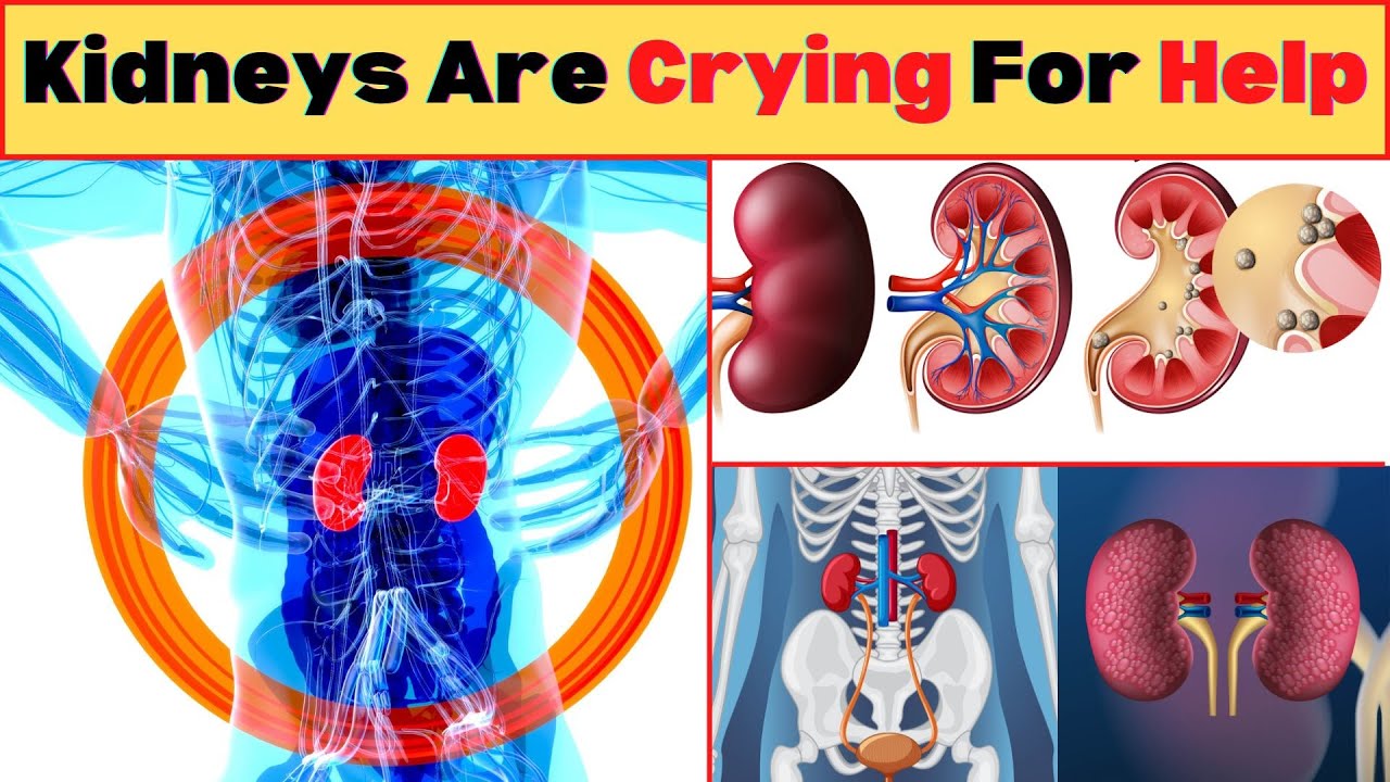 7 Warning Signs That Your Kidneys Are Toxic - YouTube