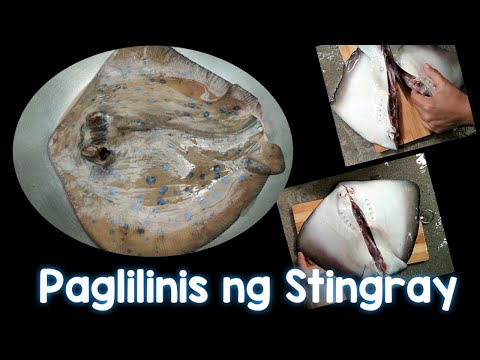 HOW TO CLEAN STINGRAY #IDEAS #STINGRAY #PAGI #ISDA