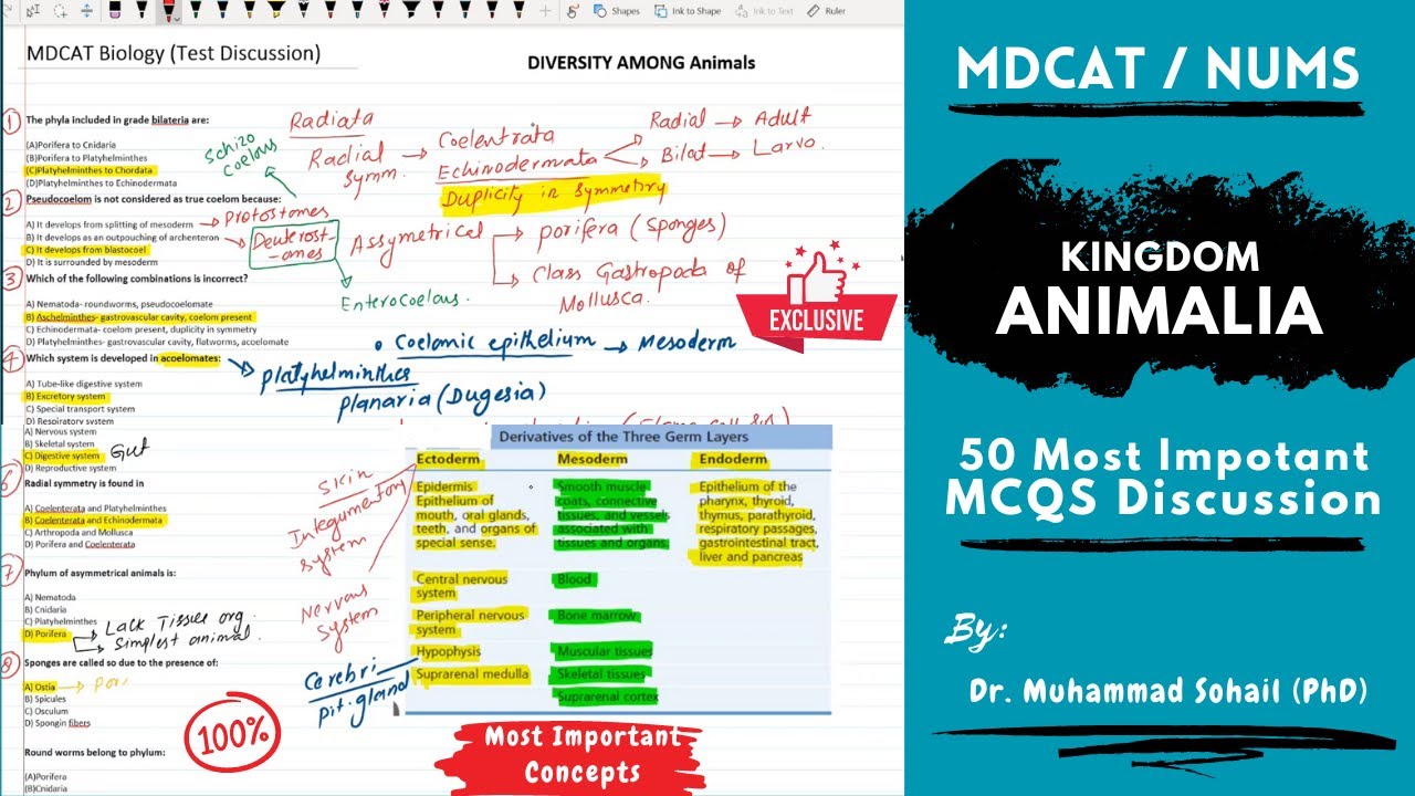 MDCAT | NUMS | MCQS Discussion on Kingdom Animalia - YouTube