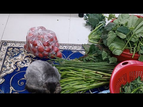 Ajke ki ki shakh shobji ranna korbo - YouTube