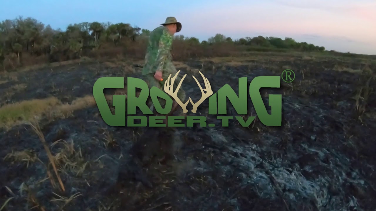 Hog Hunting Quick Tip: How to Quickly and Easily Drag A Hog Out of the ...