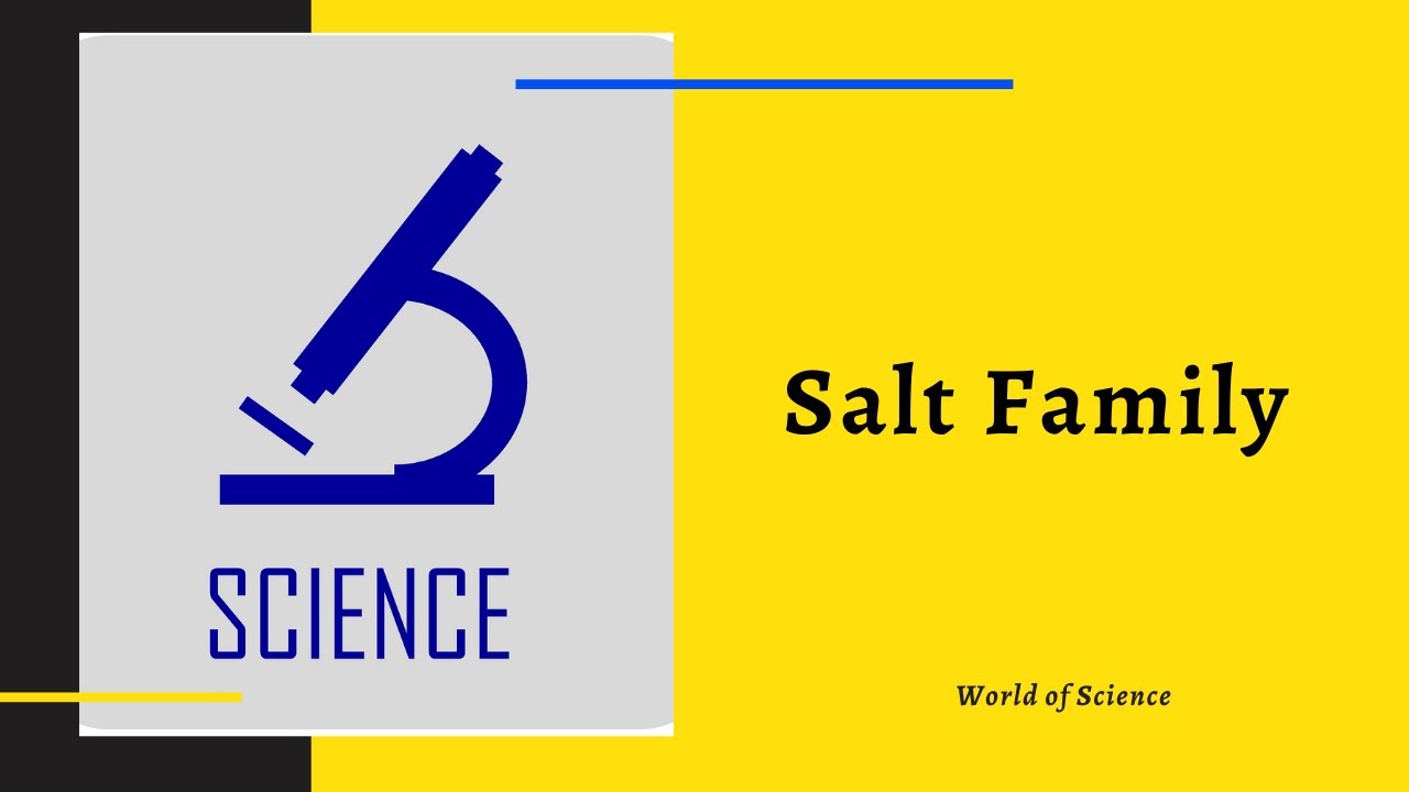 Salt family chapter 2 - YouTube