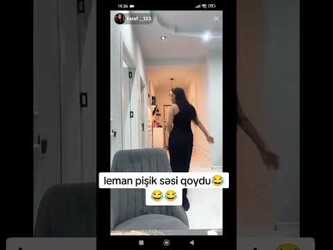 Ureyim Sixildi Qorxdum Pisiyim İtib - Leman TikTok Official