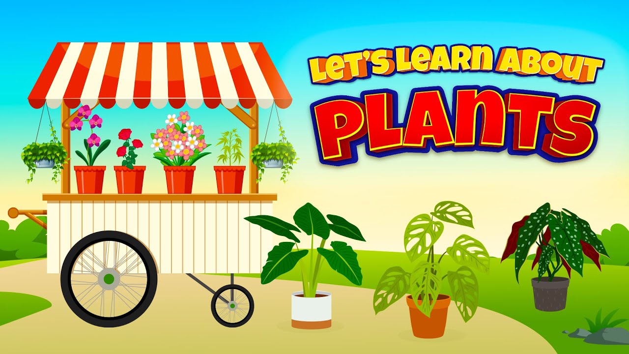 Let's Learn About Kids Plant Learning video | parts of a plant video ...