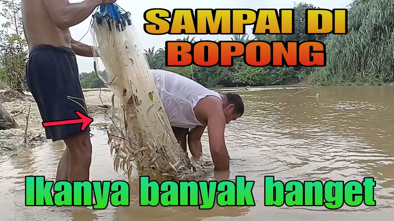 Sampai di bopong ikanya banyak banget @ToplesA2 - YouTube