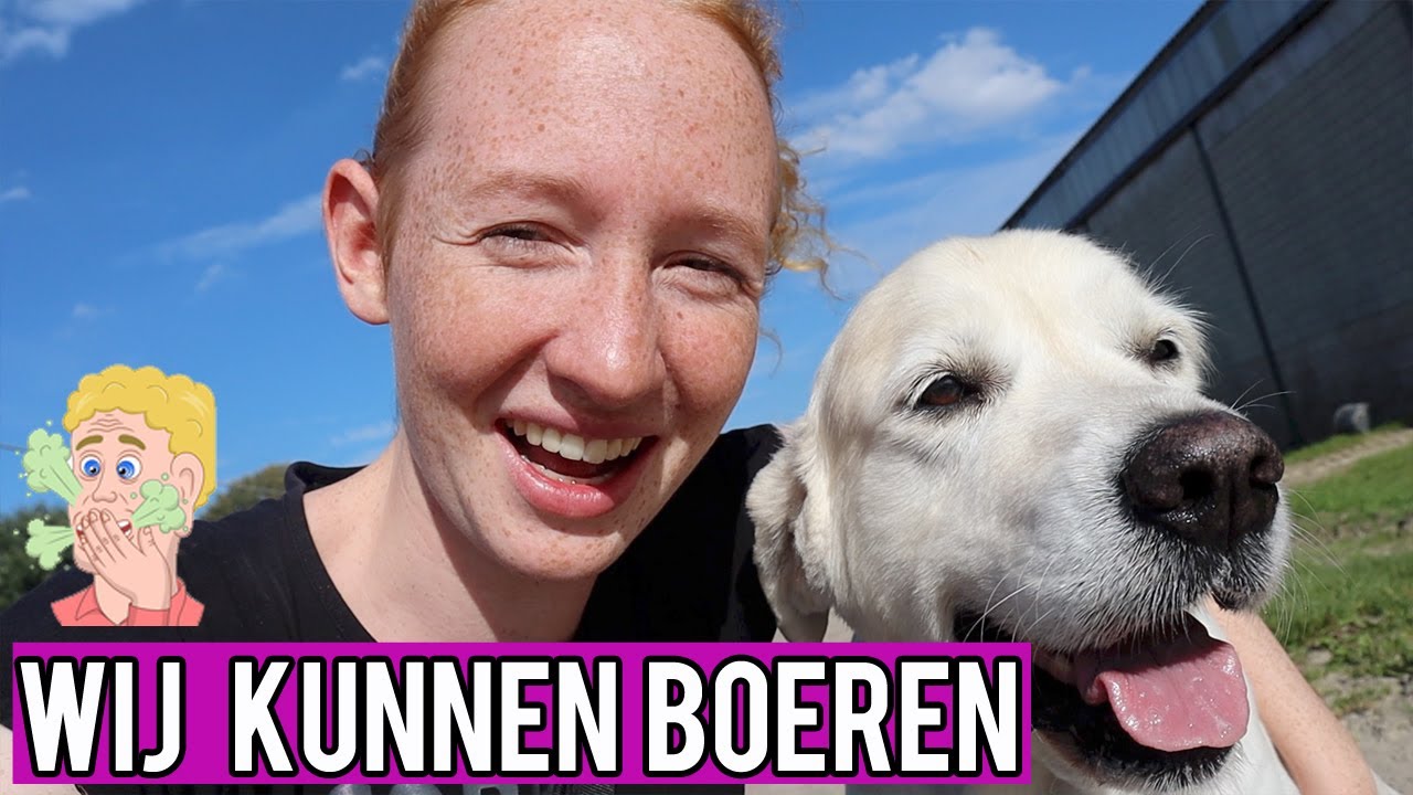 10 GRAPPIGE FEITJES OVER PAARDEN | PAARDRIJDEN MET PLEZIER - YouTube