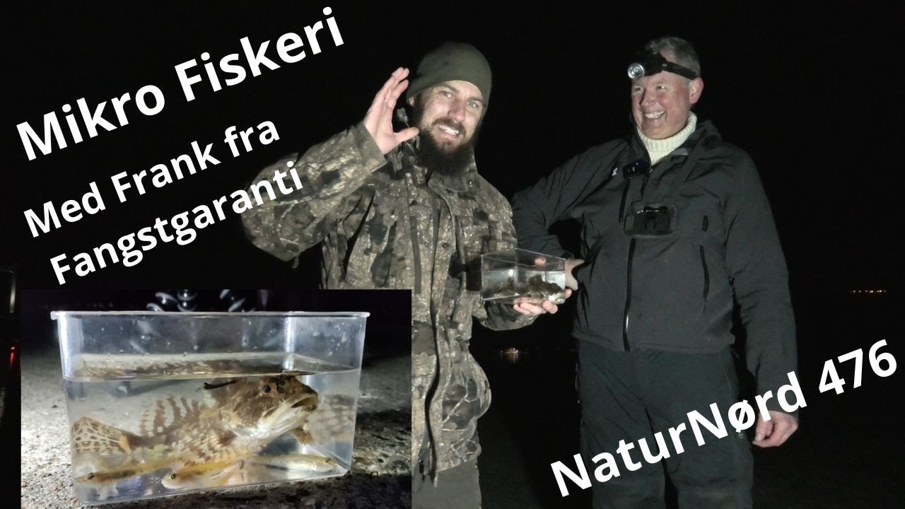 Mikro Fiskeri i Lillebælt. Jeg fanger den mærkeligste fisk.!!!! - YouTube