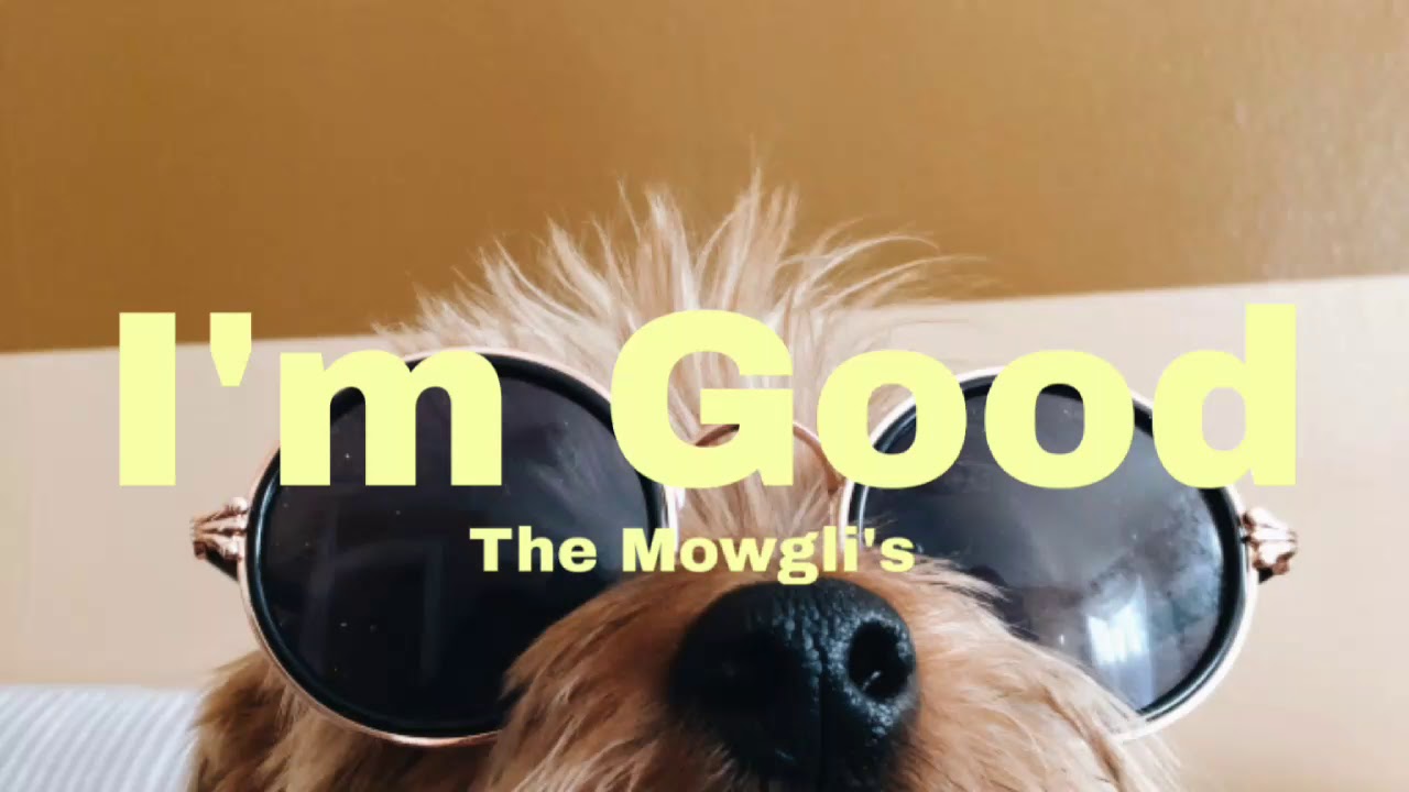 The Mowgli's - I'm good 🐶 Lyrics - YouTube